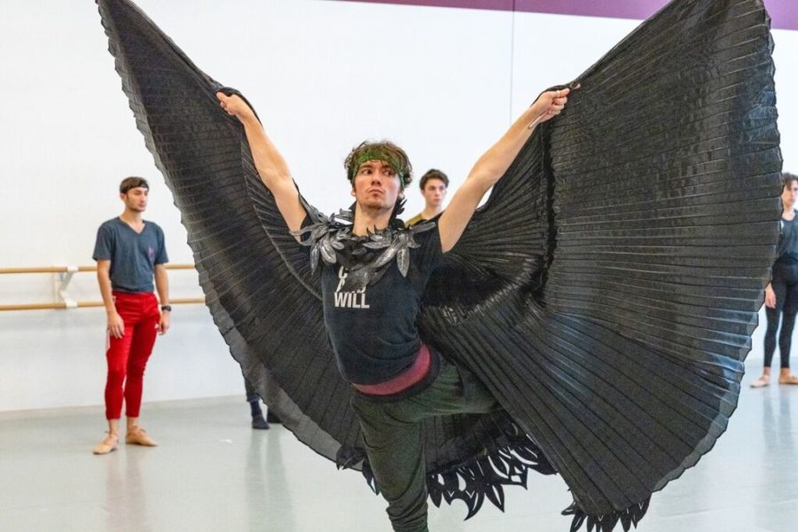 Events: Swan Princess ballet in Atlanta - Hey, Black Mom!